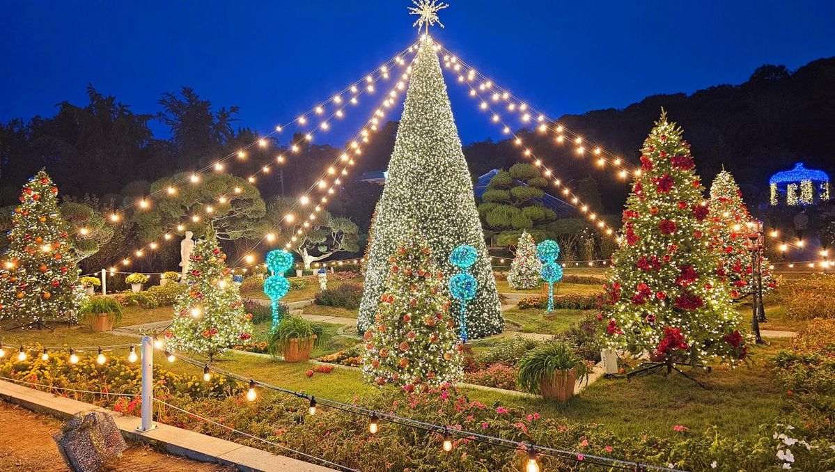 5 Must-Visit “Big Christmas Tree Cafes” This Winter - TravelNewsKorea